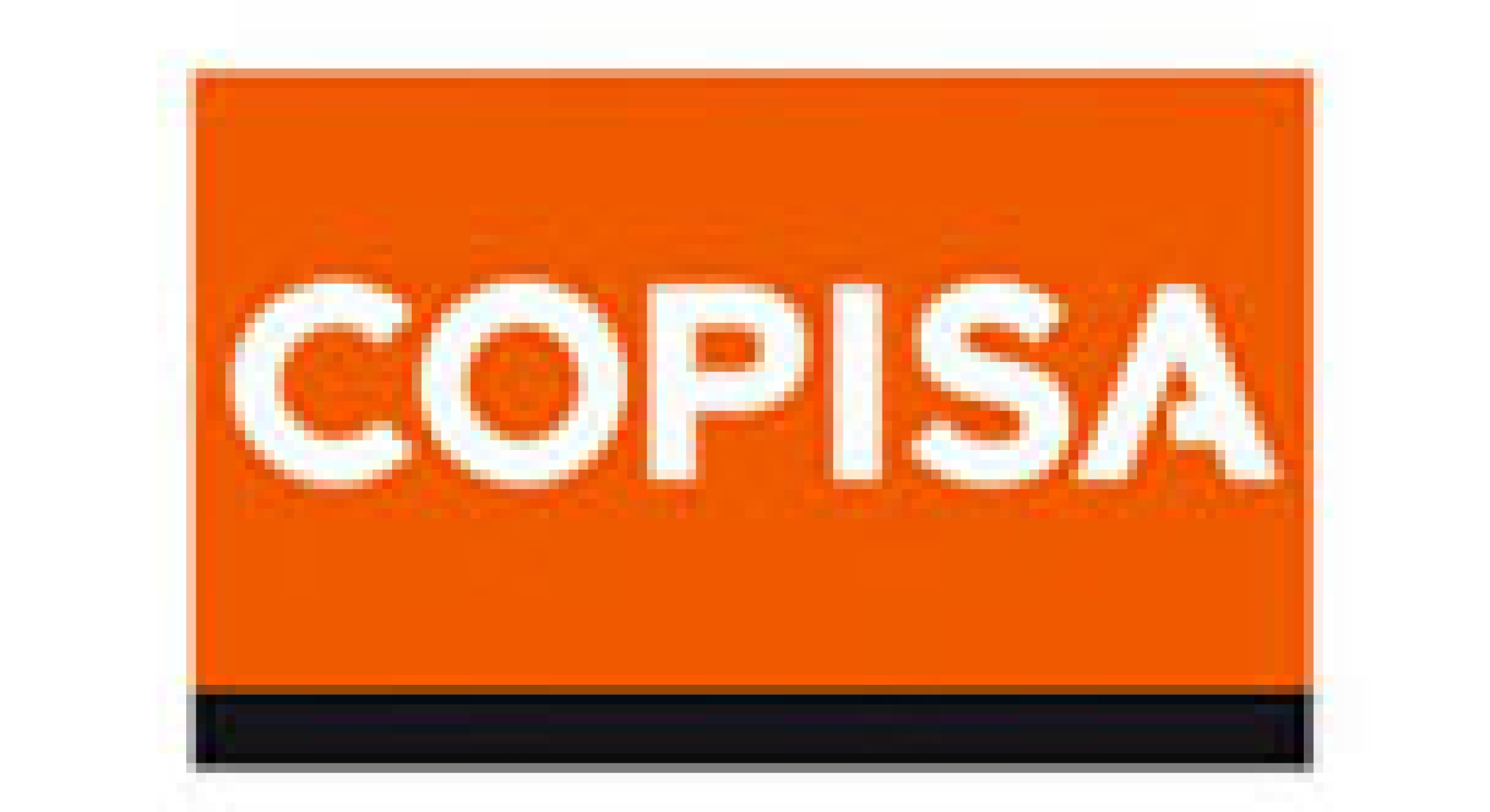 logo-copisa-2 - iPlan Gestión Integral S.L.